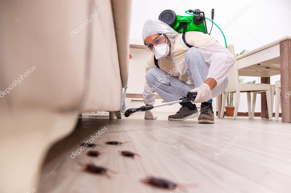 Residential Cockroach Control in Tracy, CA | Take Care Termite